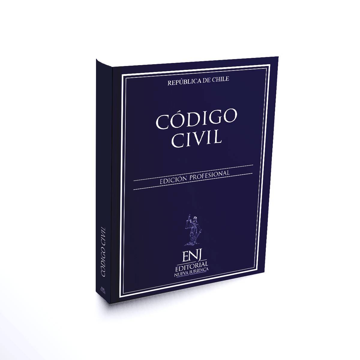 Código Civil Edición Profesional 2025 - Aremi Ediciones Limitada V30